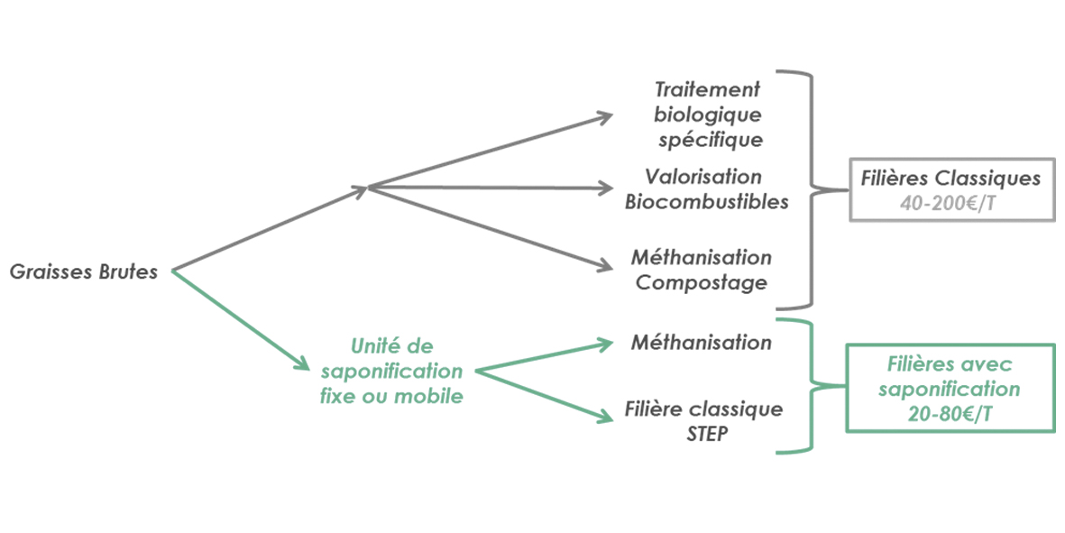 Saponifier : simplifier la gestion et valoriser le potentiel des ...