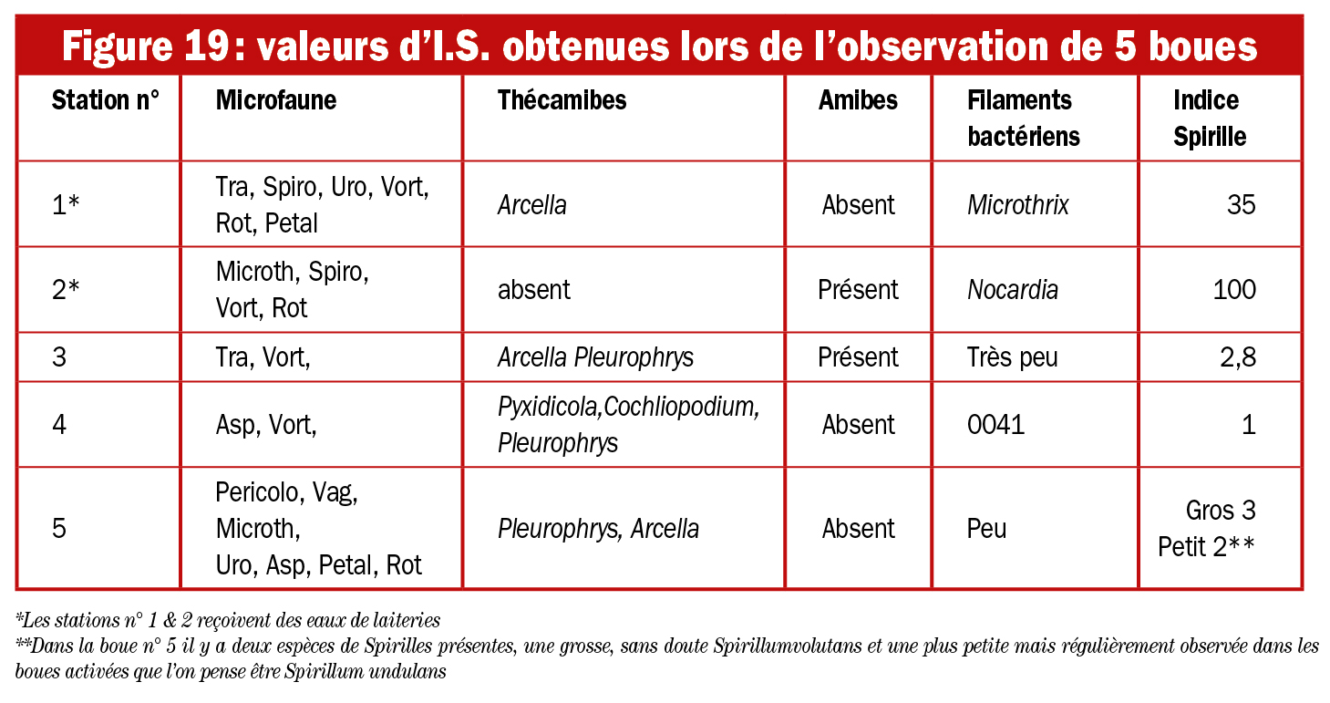 Les spirilles : interprétation, évaluation et numération - La Revue EIN