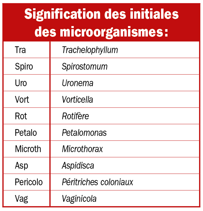 Les spirilles : interprétation, évaluation et numération - La Revue EIN