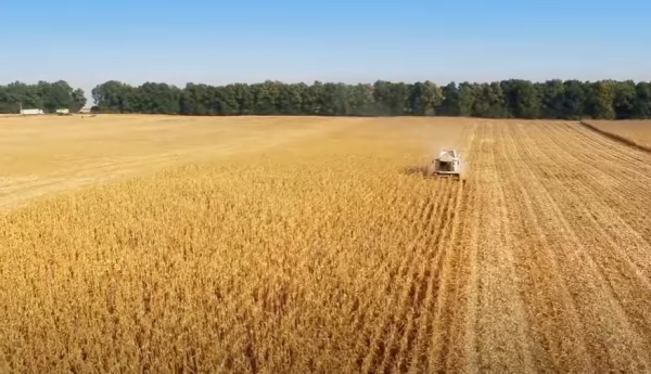 Seabex veut optimiser la gestion de l’eau et des fertilisants avec l’IA ...