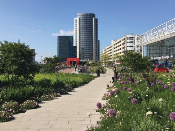 Permavoid: une gestion intégrée et durable de l’eau de pluie en zone ...