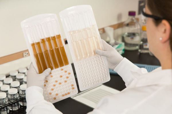 Risque légionelles : le test Legiolert® obtient la certification NF ...