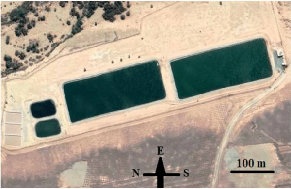 Influence de la température sur le processus d’épuration dans le chenal ...