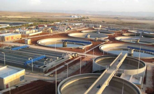 Les écofiltres d’hélophytes, une alternative durable pour les stations ...