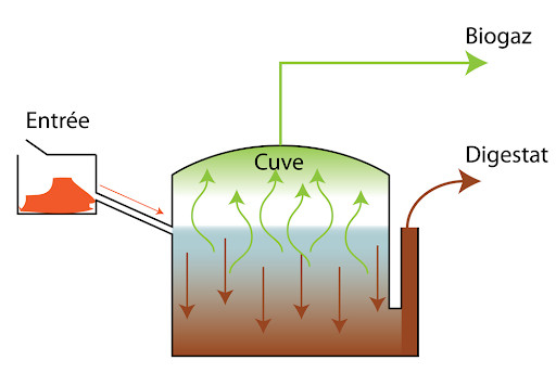 Valoriser le biogaz : les enjeux de la méthanisation - La Revue EIN